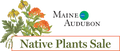 Maine Native Plants Sale | Maine Audubon